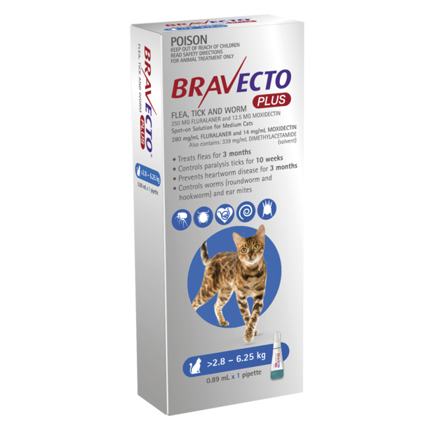 Bravecto Plus For Cats Medium 2.8-6.25kg — Pet Superstore