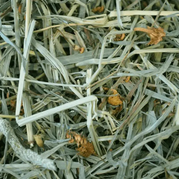 OX Botanical Hay 425g — Pet Superstore