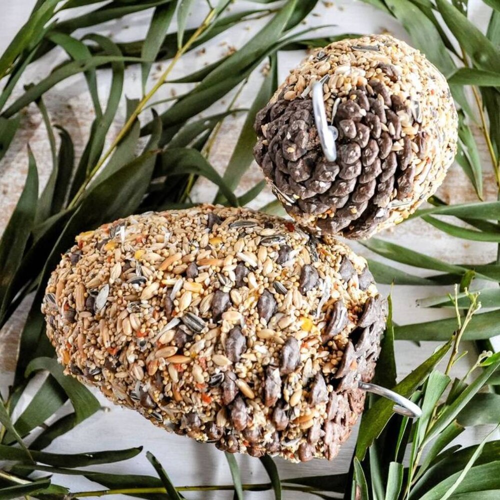 Forage Pine Cone — Pet Superstore