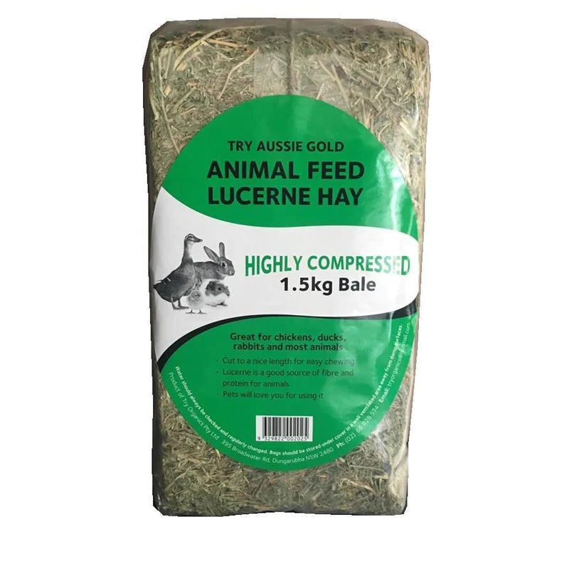 BCS Lucerne Hay Brick — Pet Superstore