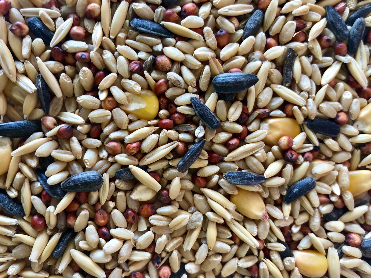 PSS Wild Bird Mix — Pet Superstore