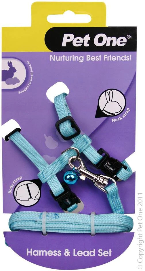 Pet One Guinea Pig Leash & Harness — Pet Superstore